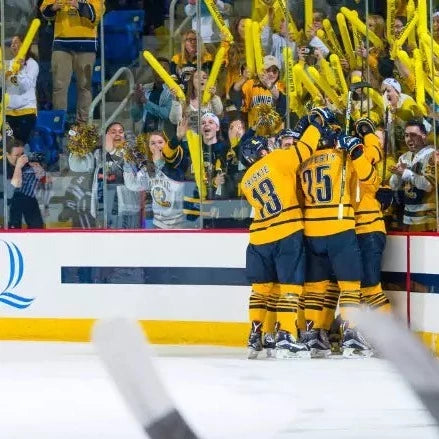 Tempered Glass Shielding – Ice Builders Supply, Inc