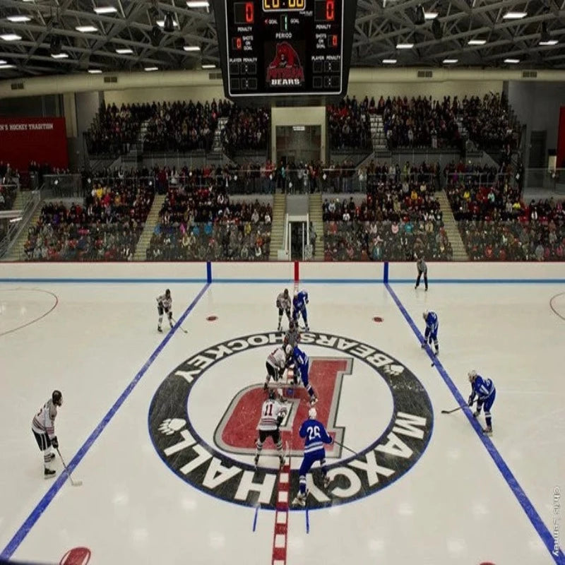 Custom Ice Logos – Ice Builders Supply, Inc